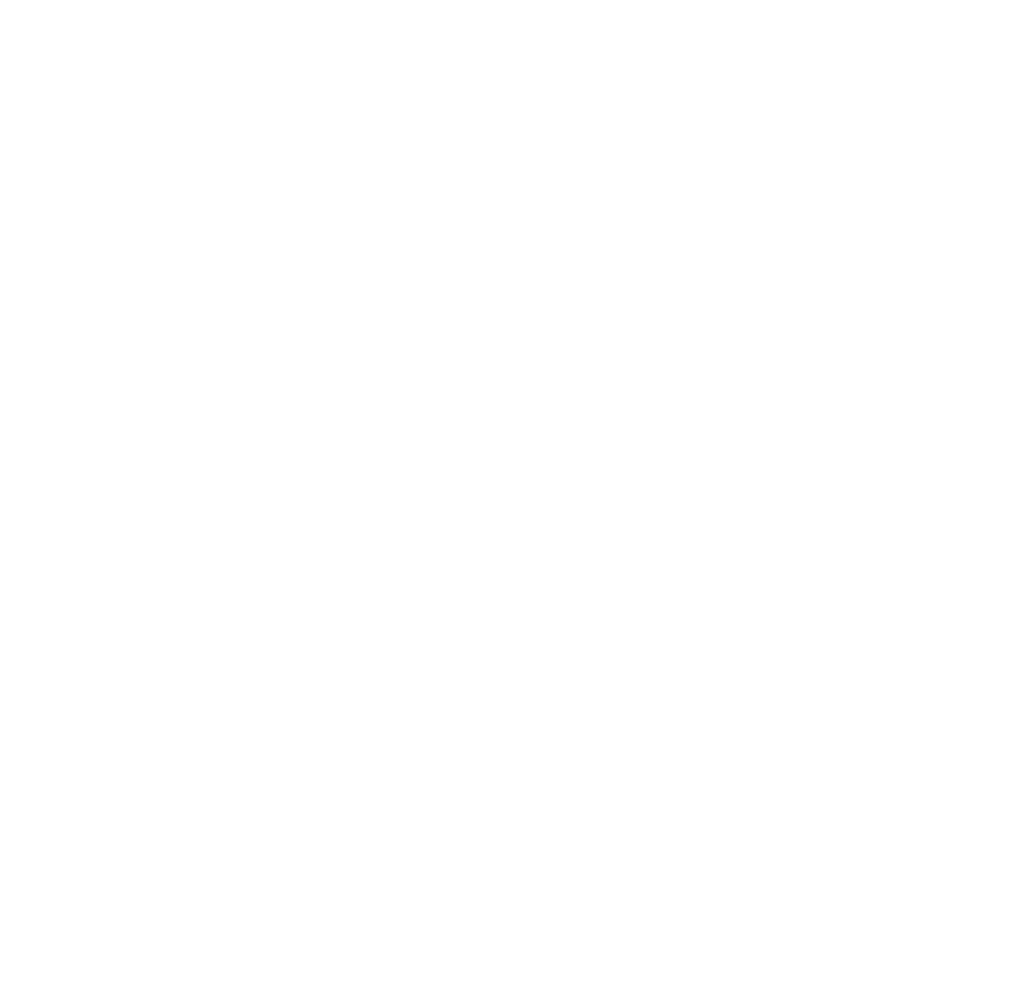 BUDDY BOO - Pionnier De La Fleurs CBD SANS THC